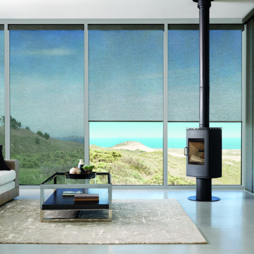 Hunter Douglas Designer Roller Screen Shades - Austintatious Blinds and ...